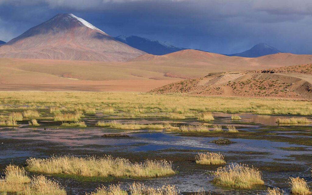 Geyser del tatio – Turismo Gato Andino
