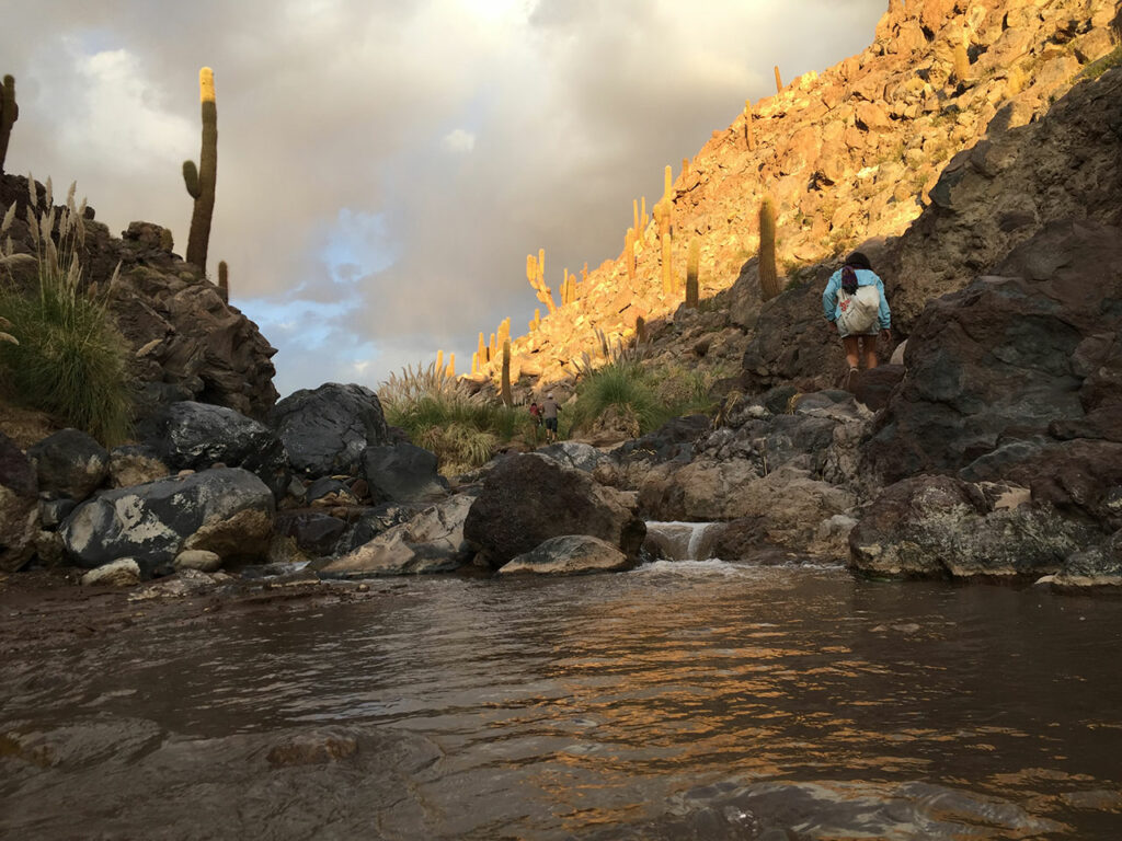 Trekking Valle de los Cactus – Turismo Gato Andino